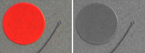 IDS Imaging calibrated image - 1stVision Inc. - Machine Vision Articles